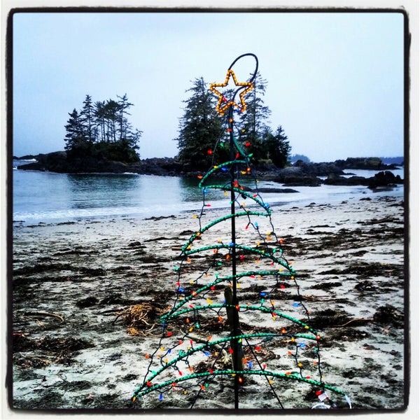 WYA Point Resort - 1 tip from 22 visitors