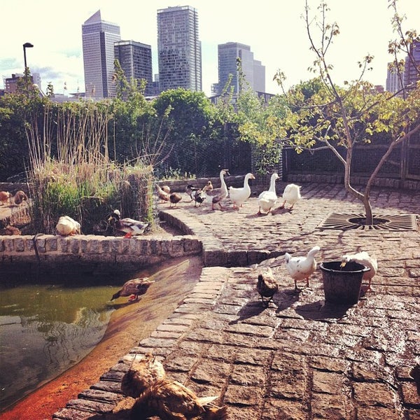 Surrey Docks City Farm - Farm in Surrey Docks