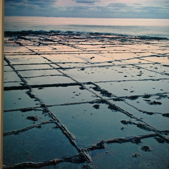 Steffich Fine Art - Salt Spring Island, BC