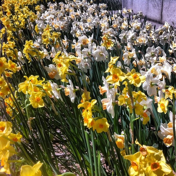 Photos at Engineers' Gate - Central Park - 5th Ave