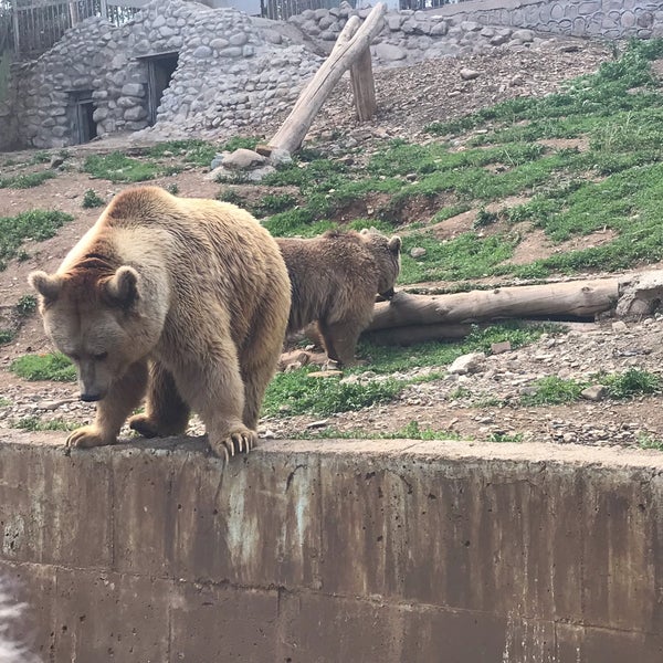 Photos at Tehran Zoo | باغ وحش تهران - منطقه ۵ - Eram Park