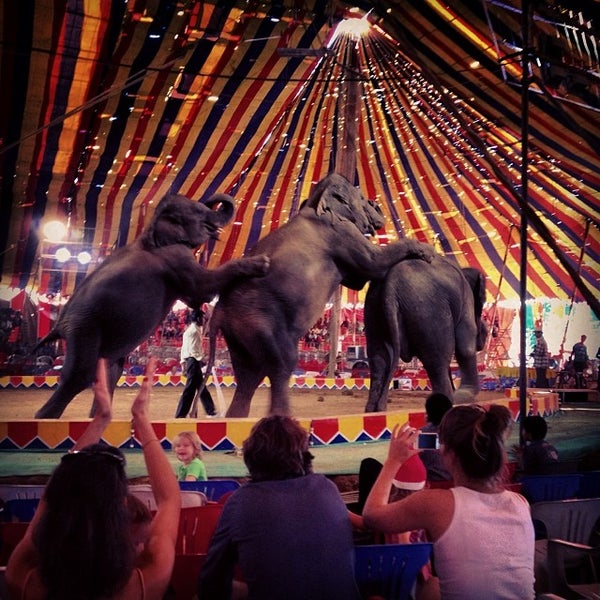 Jumbo Circus, Near to Mapusa Kadamba bus stand - Performing Arts Venue