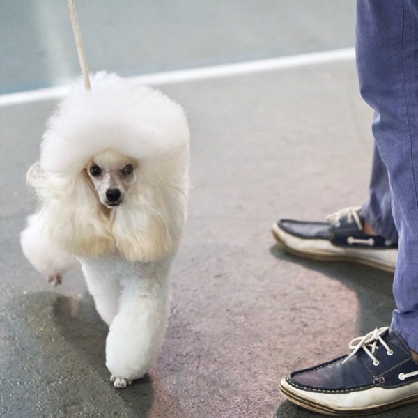 MacPherson Community Club - Structure in Singapore