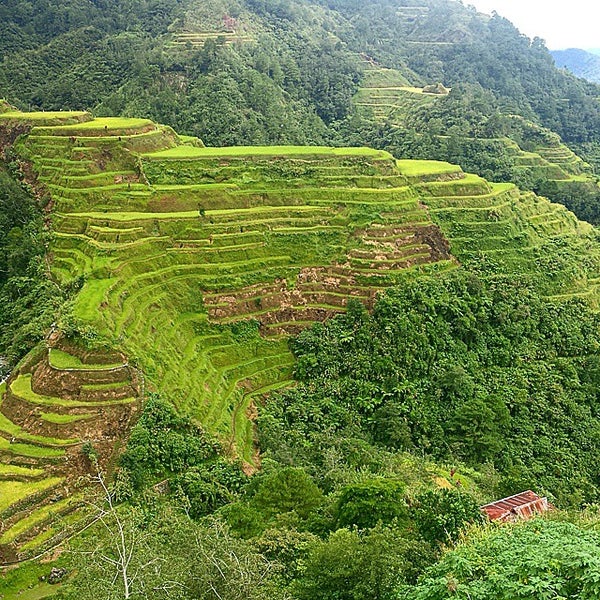 Banaue, Ifugao - 7 tips from 1308 visitors