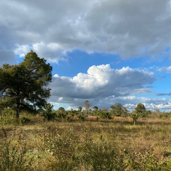 The Everglades - Naples, FL