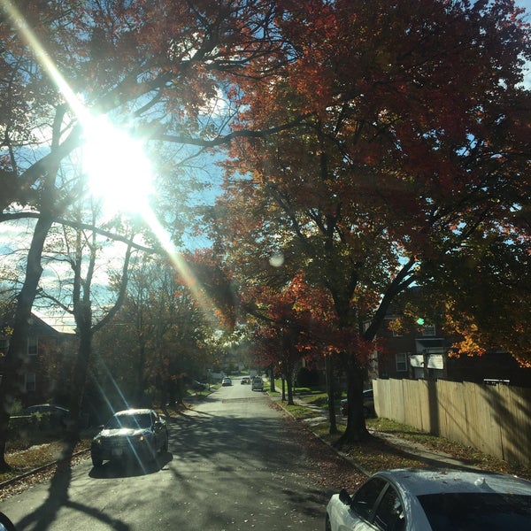 Hamilton - Northeastern Baltimore - Baltimore, MD