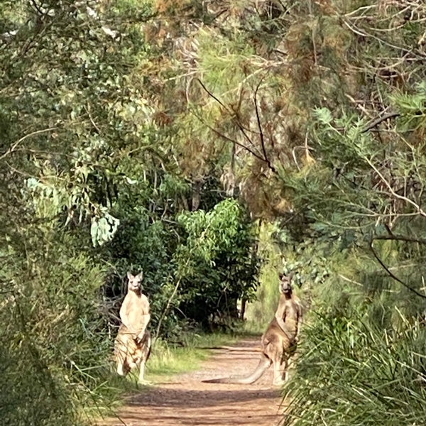 Photos at Lysterfield National Park - National Park