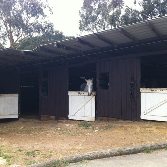 Palomino Riding School - Stable in Sydney