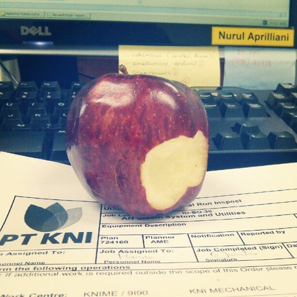 PT. Kaltim Nitrate Indonesia ( Ammonium Nitrate Prill Plant Project ...