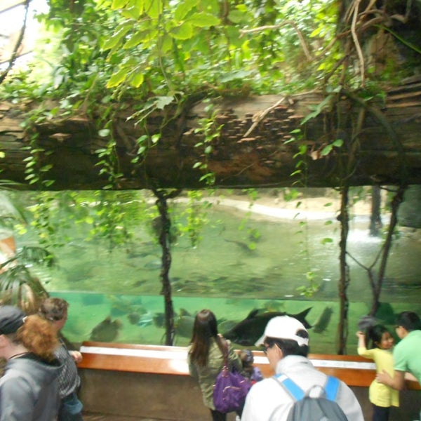 City of New York: Bronx Zoo Visitor Info - Exhibit in Bronx Park