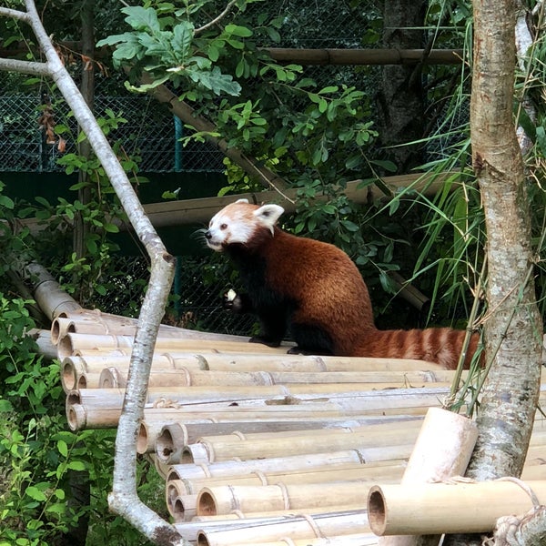 Photos at Fota Wildlife Park - Zoo