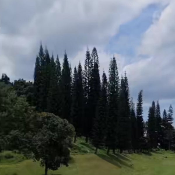 Sentul Highlands Golf Club - 39 tips from 1599 visitors