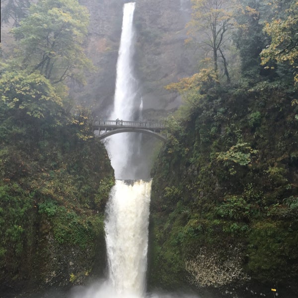 Multnomah Falls - 186 tips from 21903 visitors