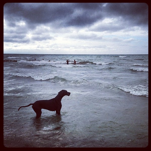 Pinery Provincial Park Dog Beach - Beach