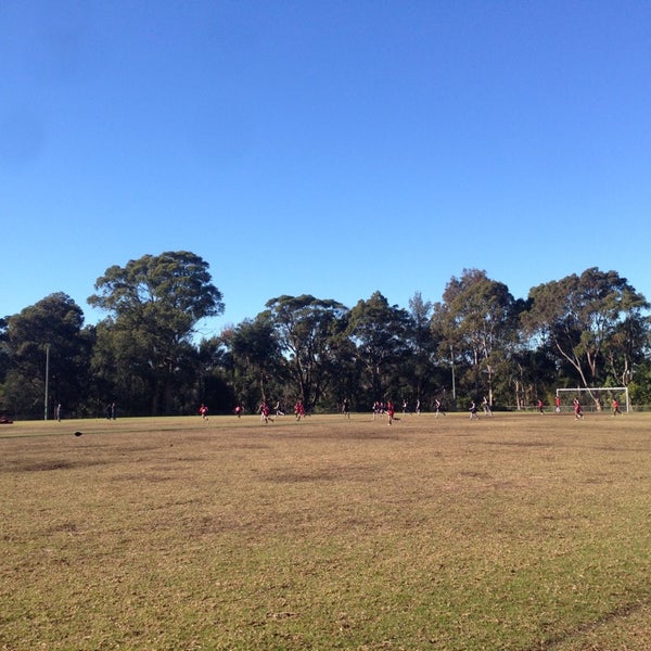 Princes Park Primula Oval - Ku-ring-gai - Sydney, NSW