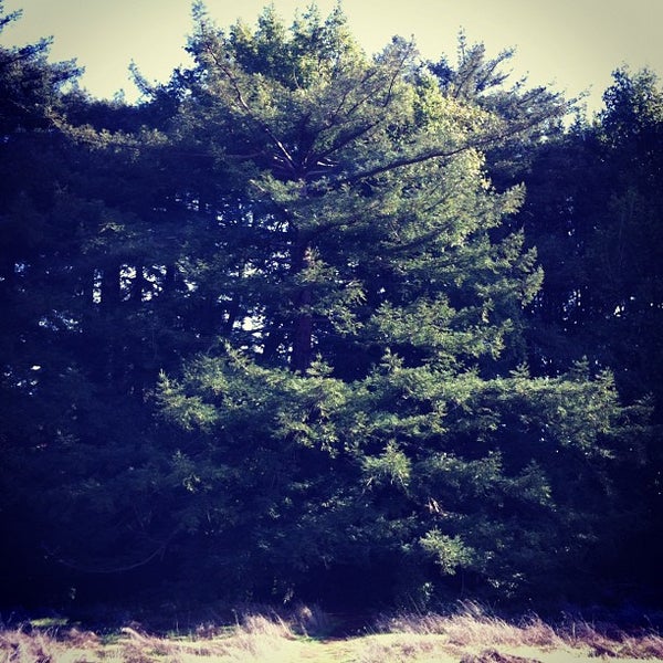 UCSC ARCenter - Westside - 2 tips from 63 visitors