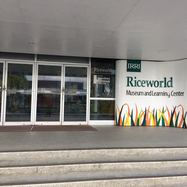 Photos at International Rice Research Institute (IRRI) - Office