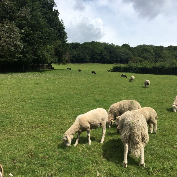 Meanwood Valley Urban Farm - 7 tips from 146 visitors