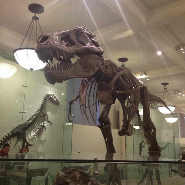 Tyrannosaurus Rex - Upper West Side - 200 Central Park W