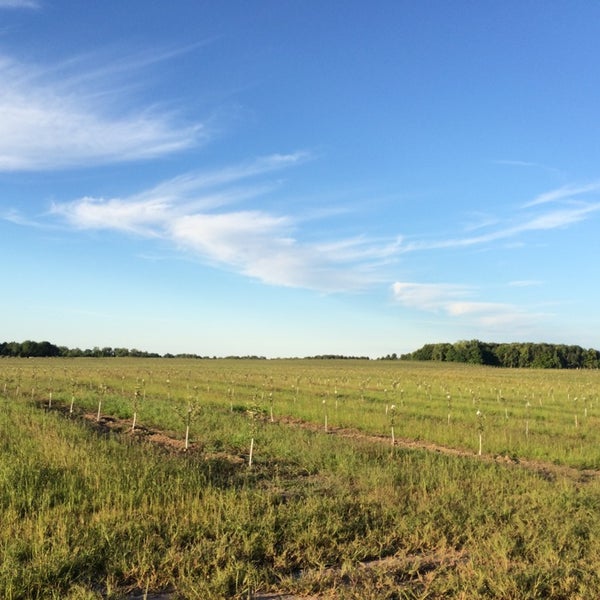 Williamson NY - Neighborhood