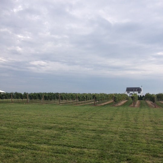 Auburn Road Vineyard & Winery - 10 tips from 497 visitors