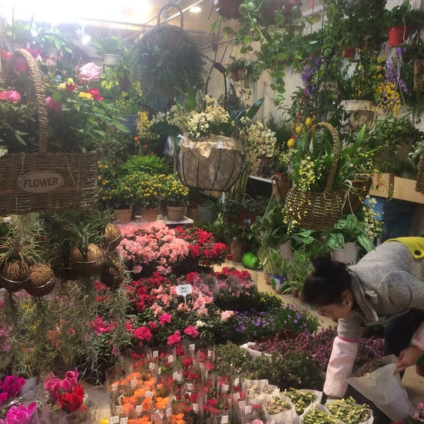 Shanghai Flower Market Pudong | Best Flower Site