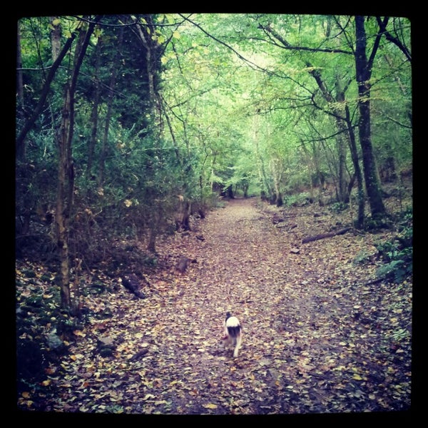 Goblin Combe - Other Great Outdoors