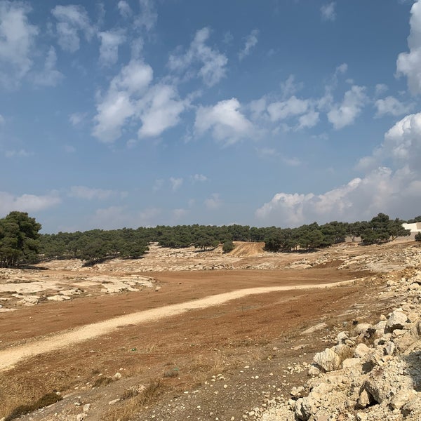 King Bahrain Forest غابة ملك مملكة البحرين - 3 tips