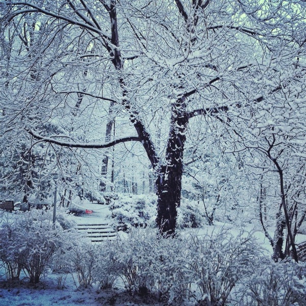 Edith Davis Eve Memorial Chapel - 46 visitors