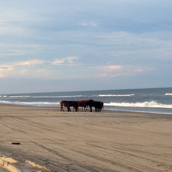 North Swan Beach - Carova, NC