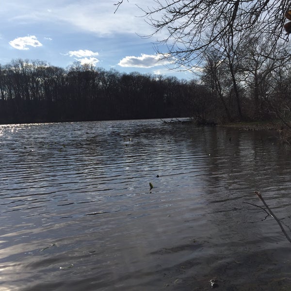 Photos at Strawbridge Lake Park - 7 tips