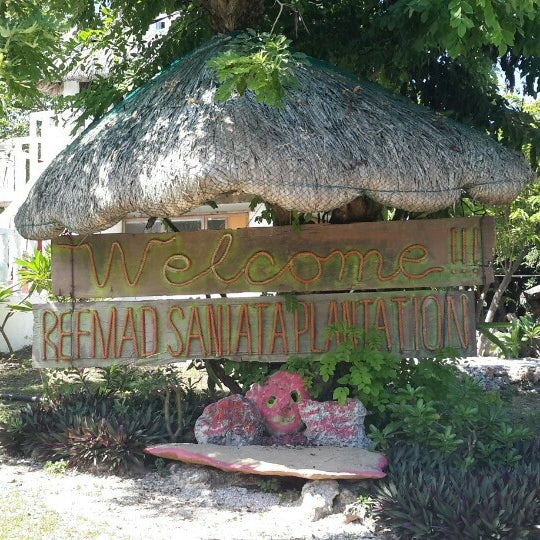 Refmad Farm, Dragon Fruits