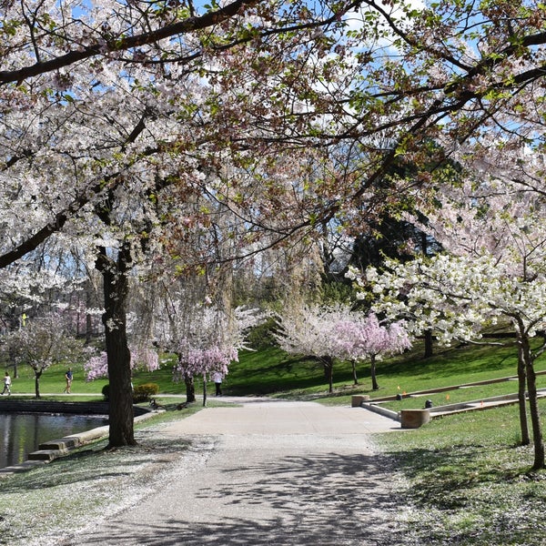 Photos at Wade Park Lagoon - University Circle - Cleveland, OH