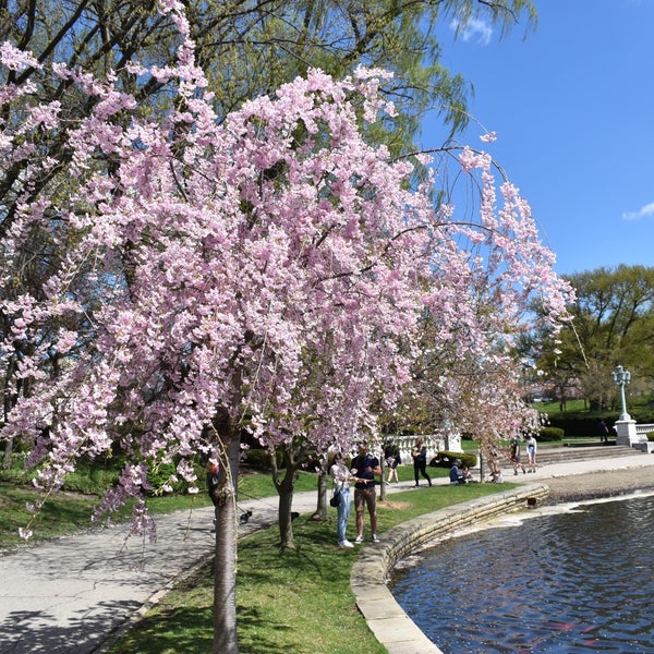Photos at Wade Park Lagoon - University Circle - Cleveland, OH