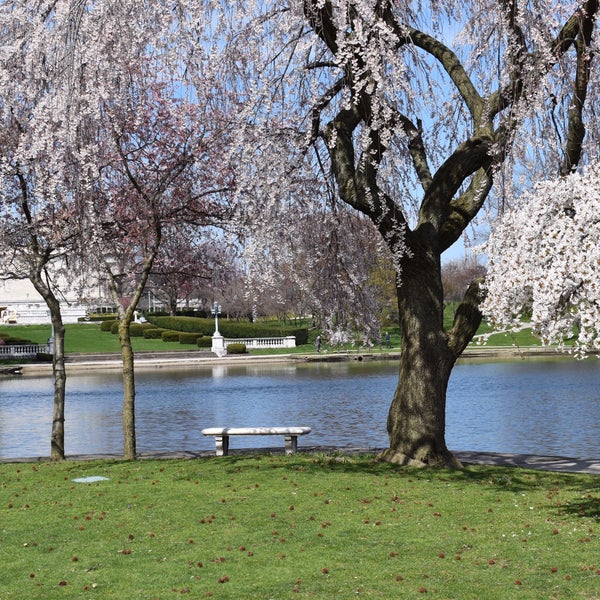 Photos at Wade Park Lagoon - University Circle - Cleveland, OH