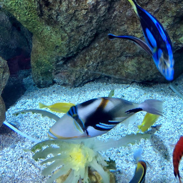 ABQ BioPark Aquarium - Aquarium in Albuquerque