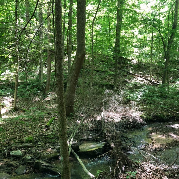 Photos at Kanawha State Forest - East End - 7500 Kanawha State Forest Dr