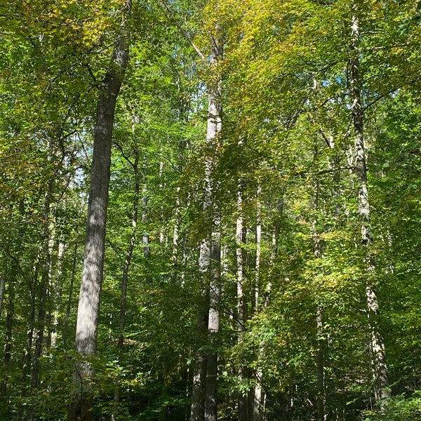 Photos at Kanawha State Forest - East End - 7500 Kanawha State Forest Dr