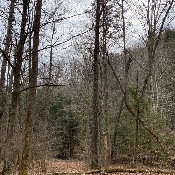 Photos at Kanawha State Forest - East End - 7500 Kanawha State Forest Dr