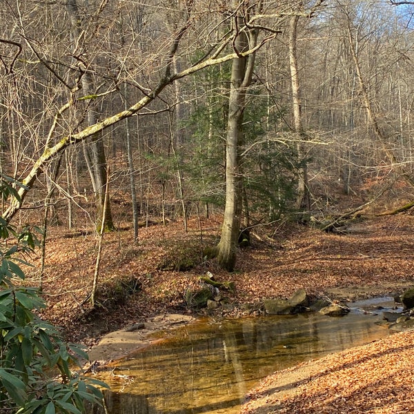 Photos at Kanawha State Forest - East End - 7500 Kanawha State Forest Dr