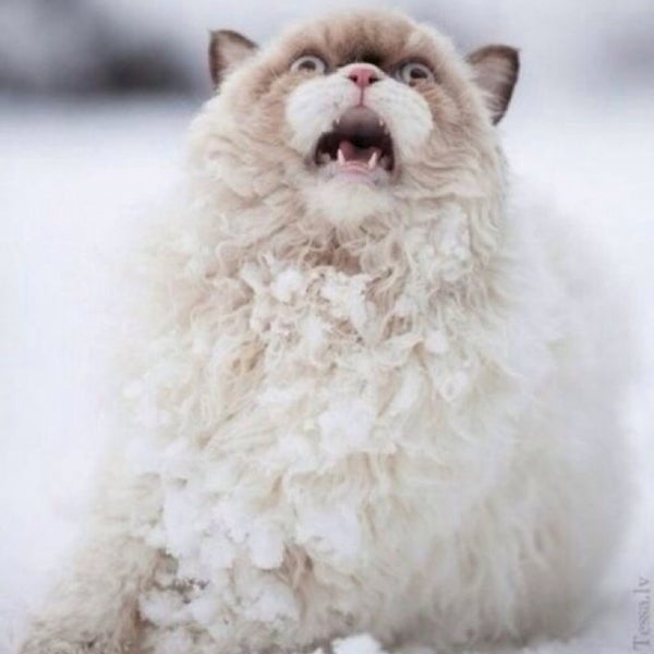 Corporativo Clarins - Office in Mexico City