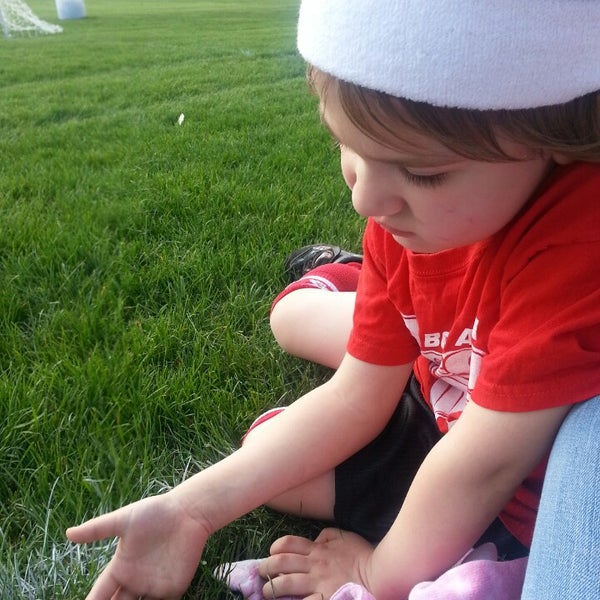 DMACC Boone Campus - College and University