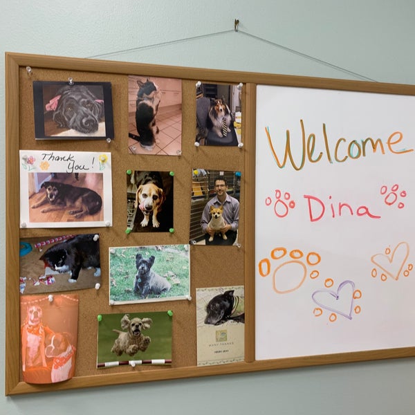 Regional Veterinary Referral Center - Springfield, VA