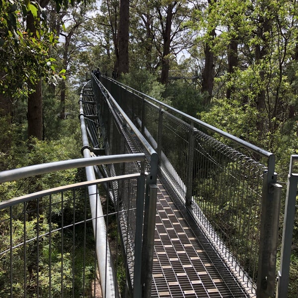Valley Of The Giants Tree Top Walk - Bridge