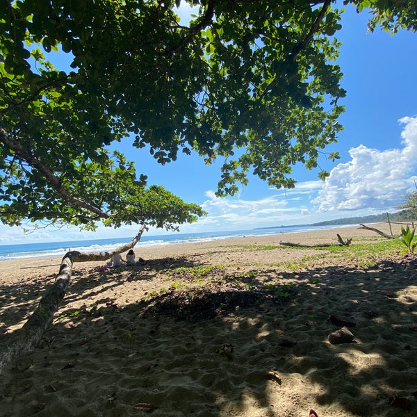 Playa Cocles - Beach