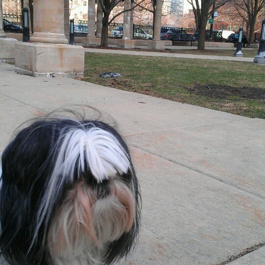 Coliseum Park - Dog Run in Chicago