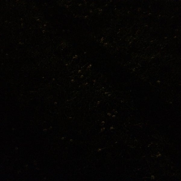 Foster Turf Fields - Soccer Field in Chicago