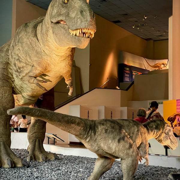 國立自然科學博物館 National Museum of Natural Science - Science Museum