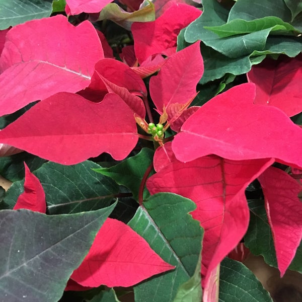 Menards - Hardware Store in Northwest Warren