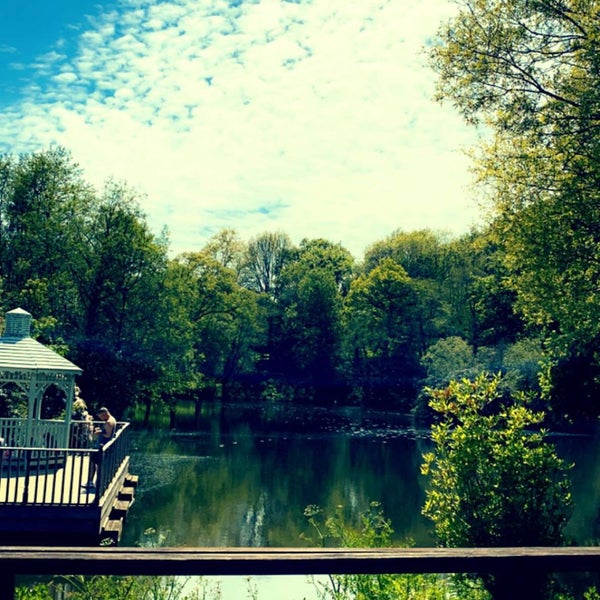 Canonteign Falls - Waterfall